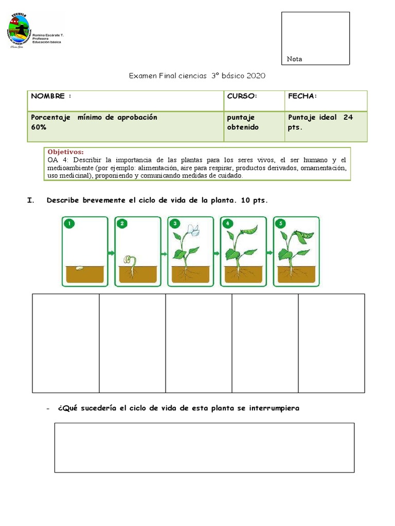 Examen Final 3° Básico Ciencias 2020 | PDF