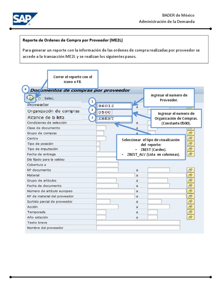 Correr El Reporte Con El Icono o F8 | PDF
