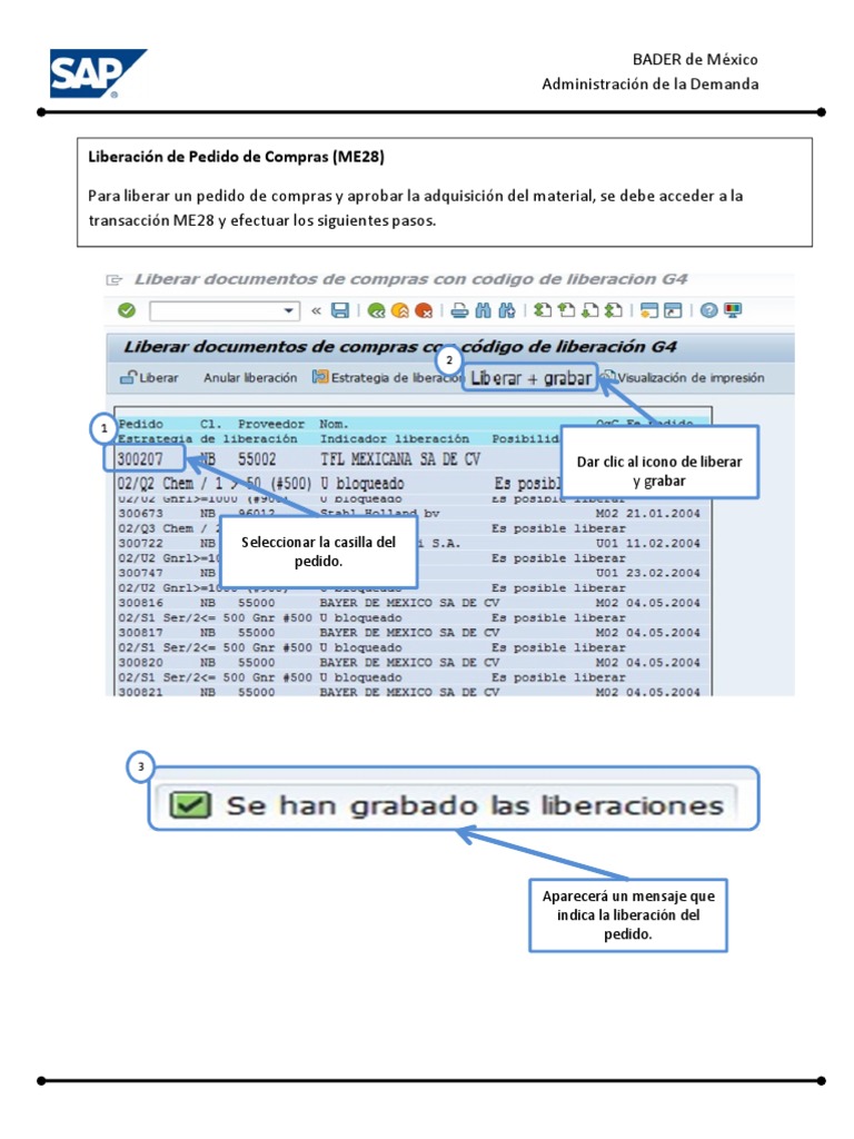 Liberación de Pedidos en ME28 | PDF