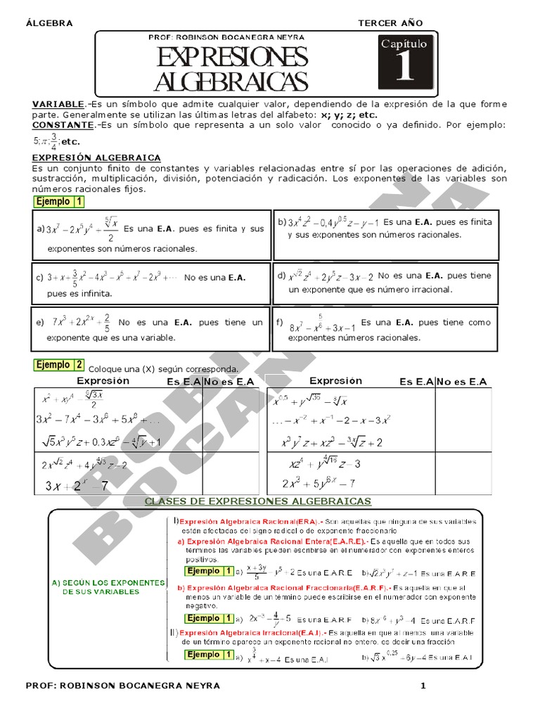 Clases de Expresiones Algebraicas | PDF | Número racional | Ciencia ...