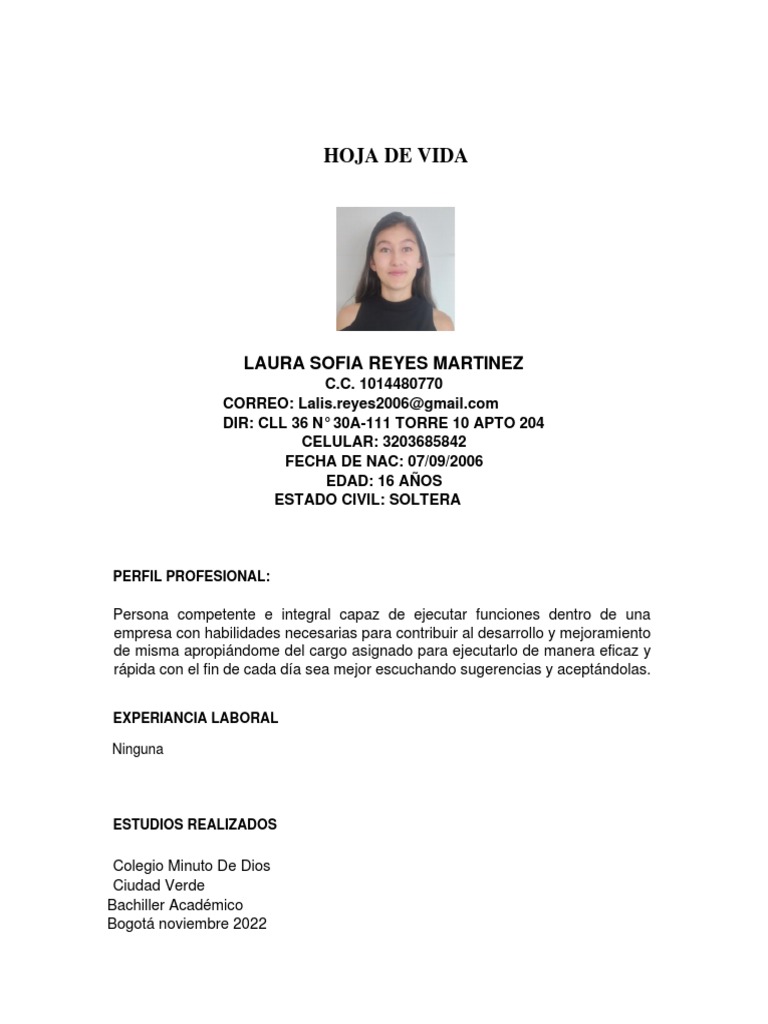 Hoja de vida de Laura Sofía Reyes Martínez, estudiante de 16 años con perfil profesional y ...