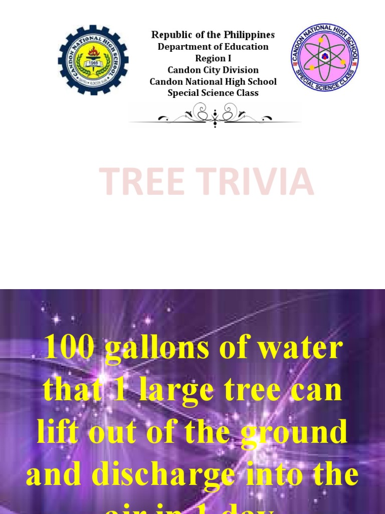 Tree Trivia: Interesting Facts About Trees Shared in a Science Class ...