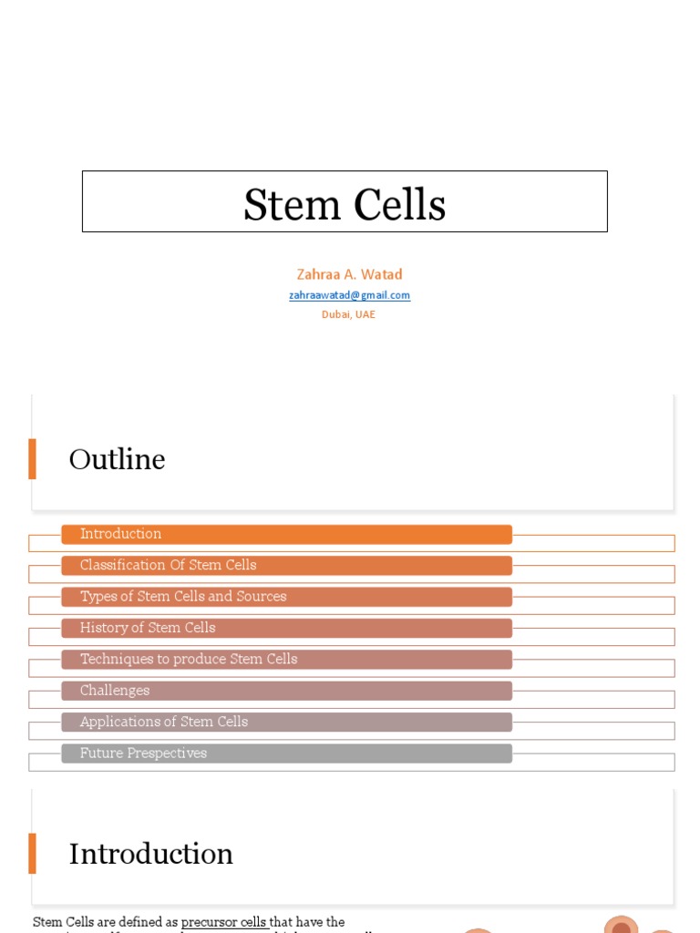 Stem Cells | PDF | Stem Cell | Cell Potency