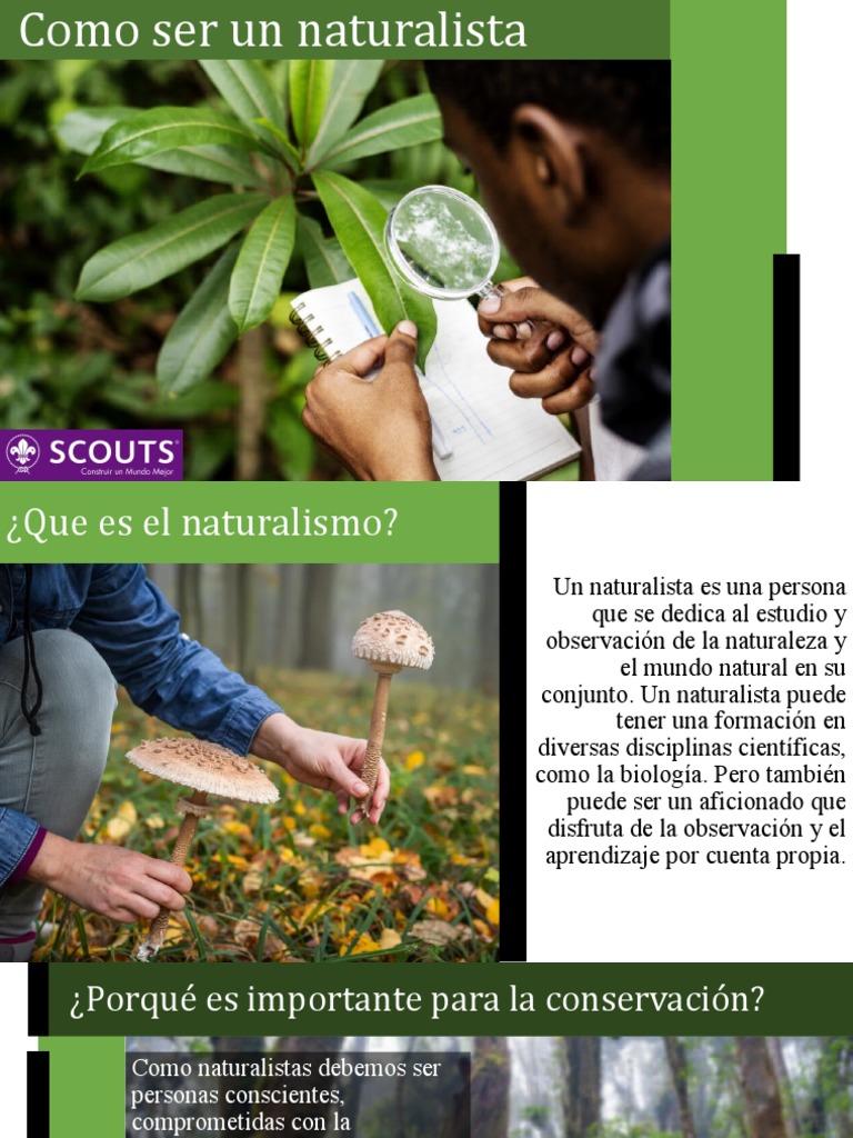 Cómo ser un naturalista comprometido | PDF | Ciencia y matemáticas