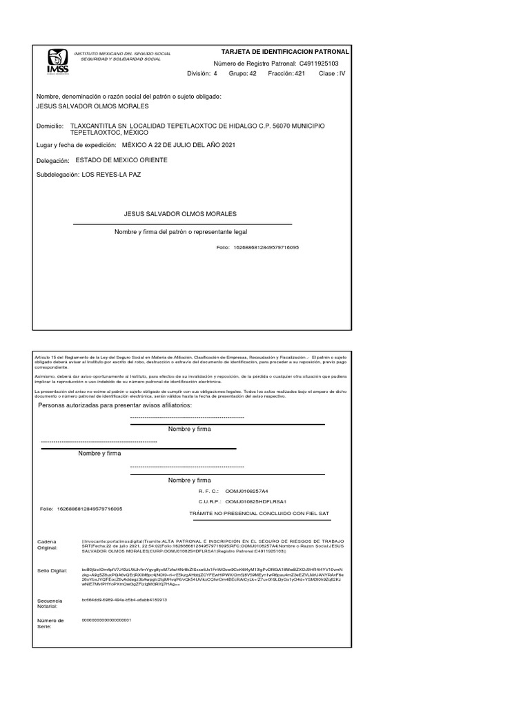 Tarjeta de Identificación Patronal IMSS | PDF | México | Justicia