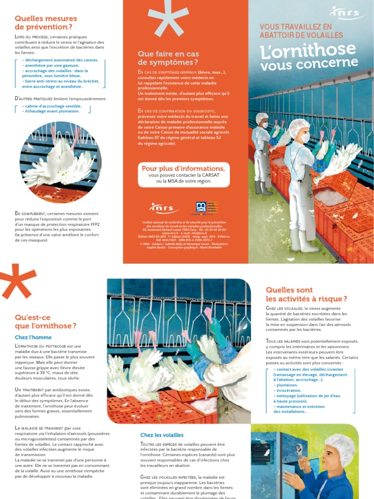 Prévention de l'ornithose en abattoir | PDF | Médecine | Maladies animales