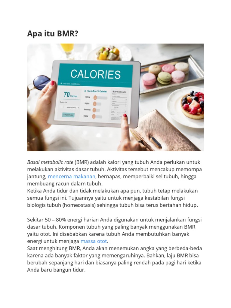 Apa Itu BMR | PDF