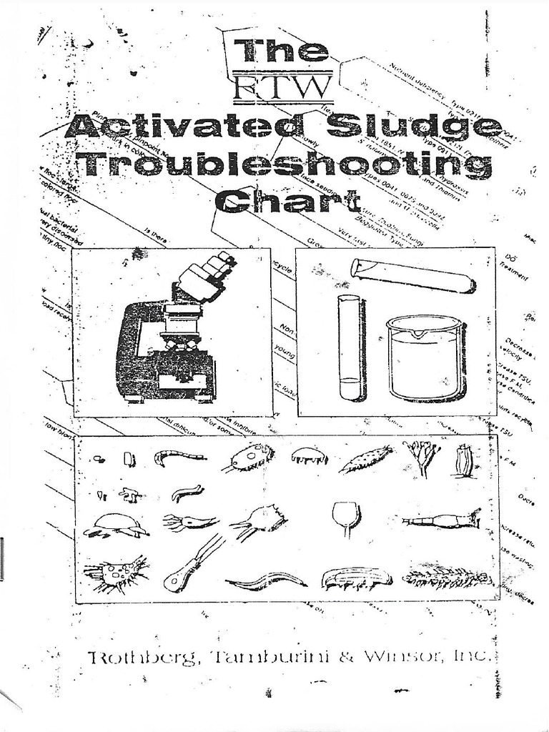 Activated Sludge Troubleshooting RTW | PDF