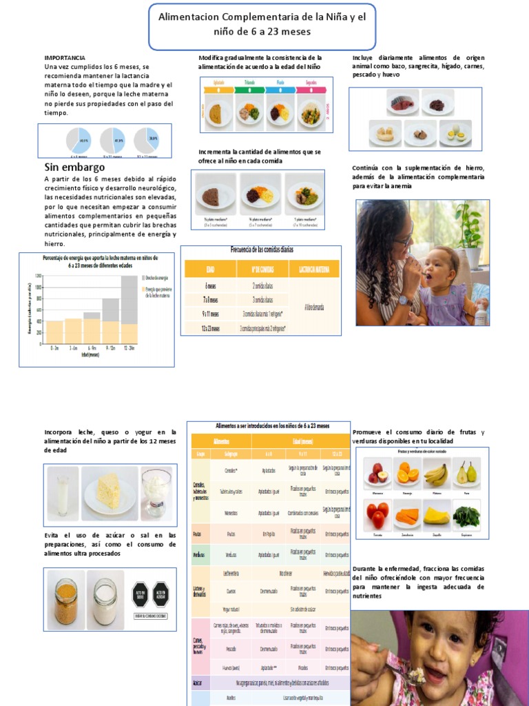 Alimentacion Complementaria de La Niña y El Niño de 6 A 23 Meses | Descargar gratis PDF ...