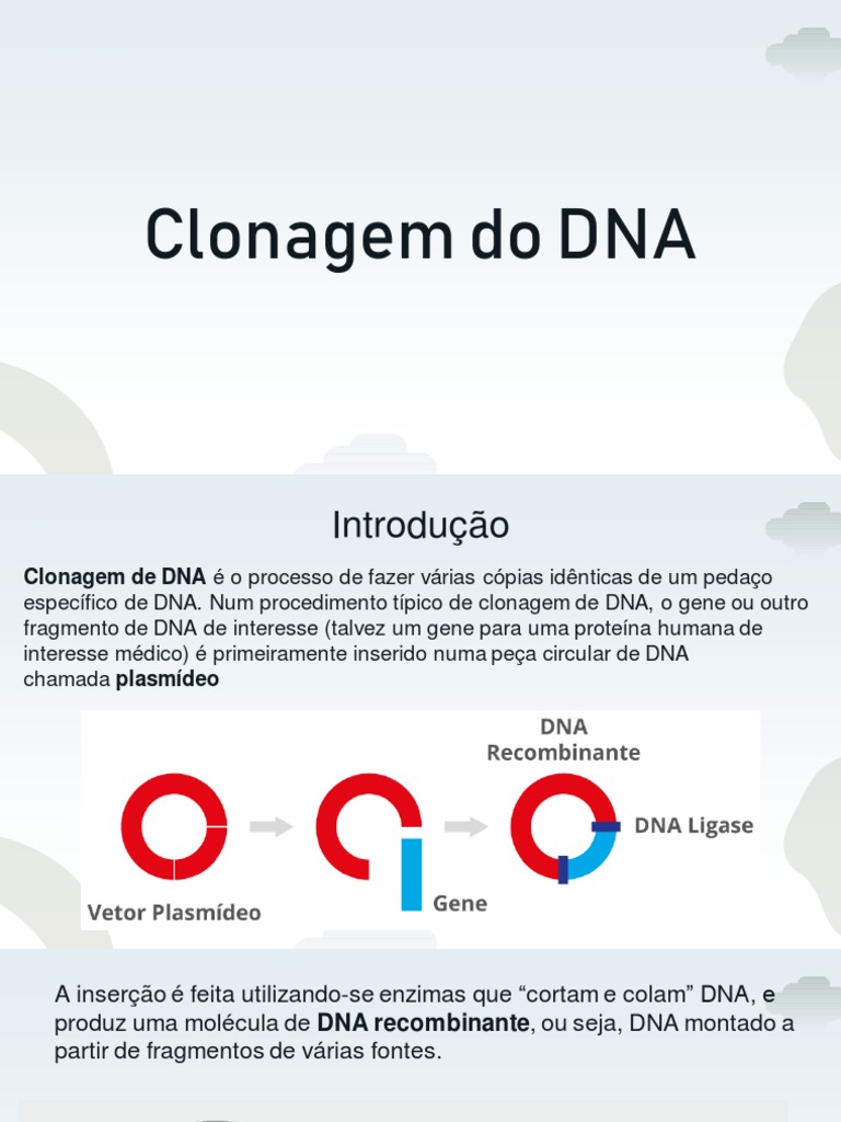 Clonagem Do DNA 0383818183 | Download grátis PDF | Genoma humano | Genoma