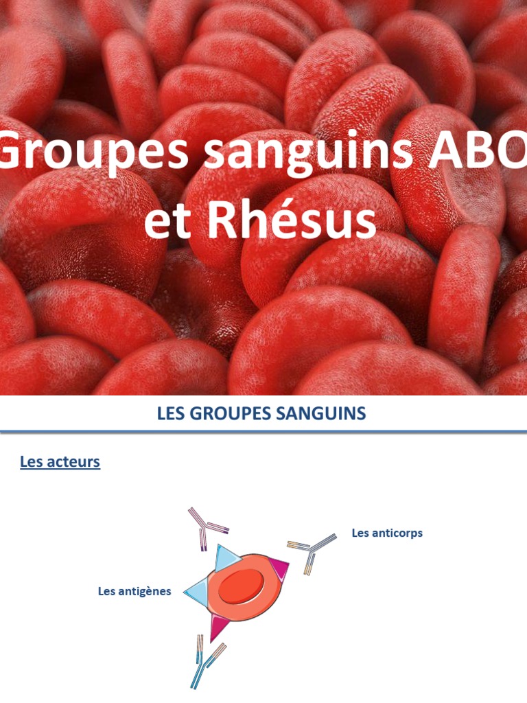 Cours Groupes sanguinsSA | Download Free PDF | Groupe sanguin ...