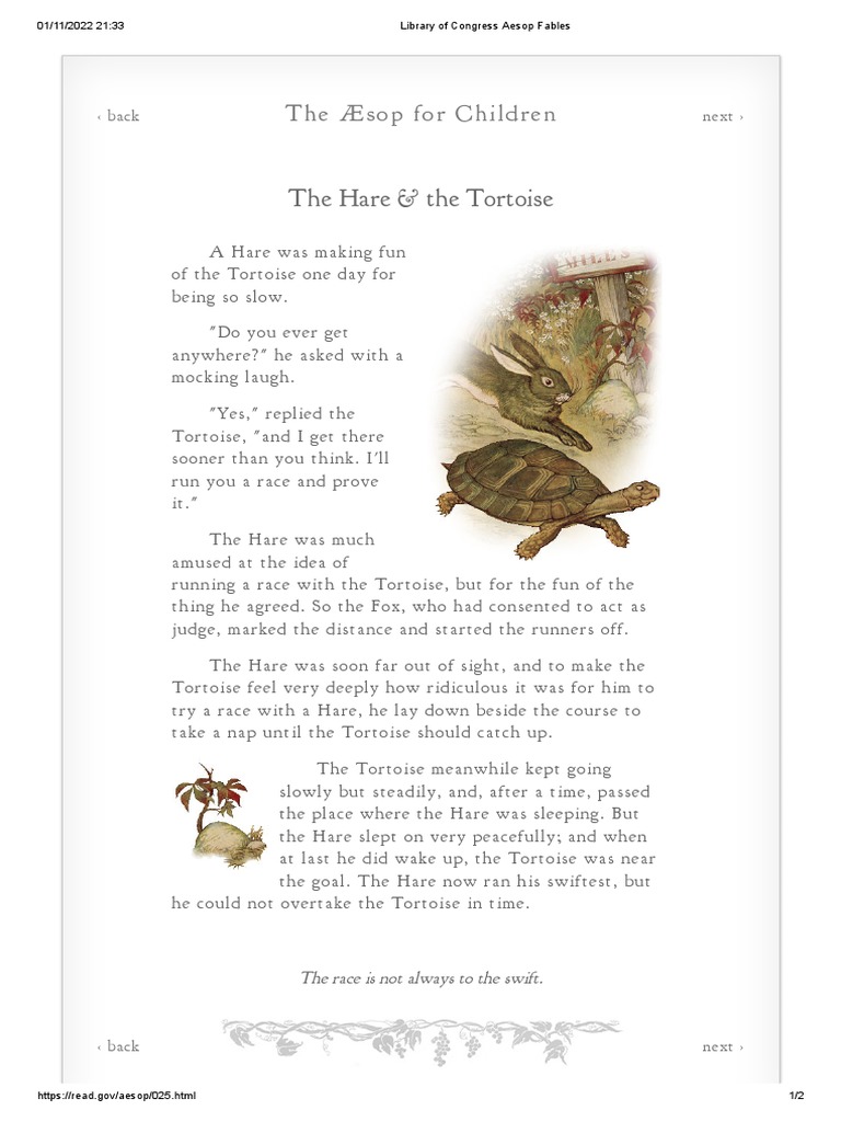 The Hare and The Tortoise | PDF