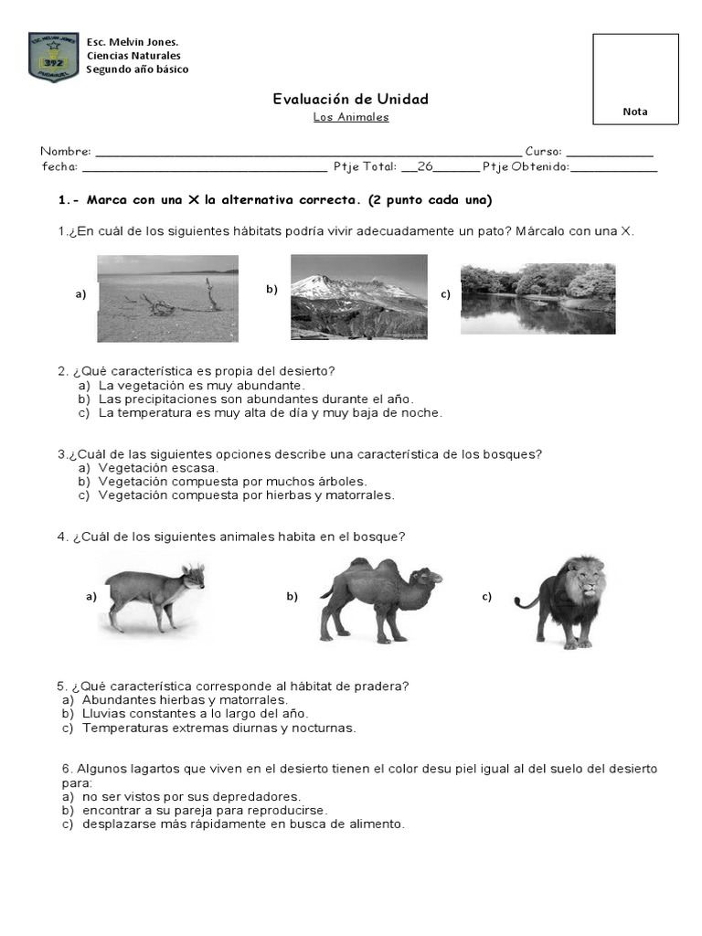 Evaluación de Ciencias Naturales: Animales | PDF