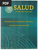 Lineamientos Generales PVU 2024 Alta | PDF