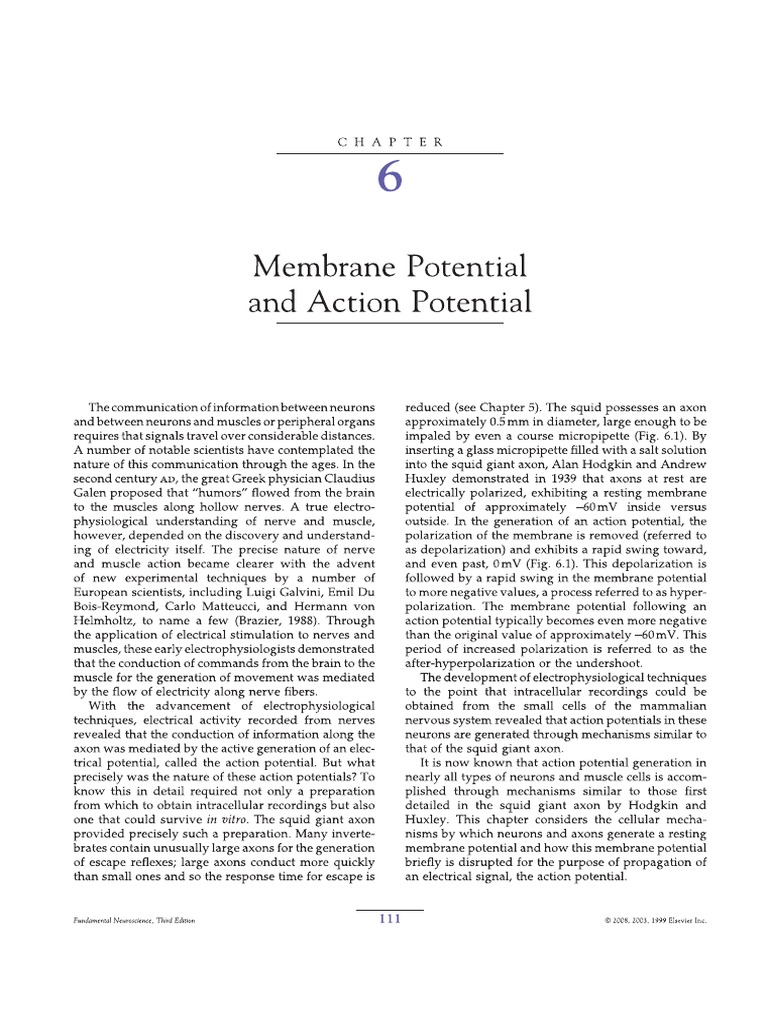 Fundamental Neuroscience (3rd Edition) 2008 | PDF