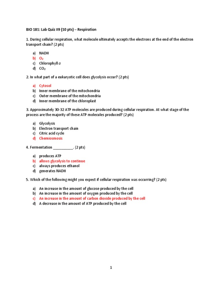BIO 181 Lab Quiz 9-Respiration - Answers | PDF | Science & Mathematics