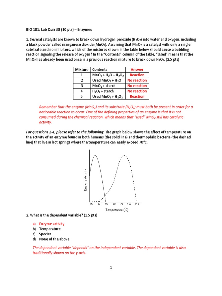 BIO 181 Lab Quiz 8-Enzymes - Answers | PDF | Enzyme | Hydrogen Peroxide
