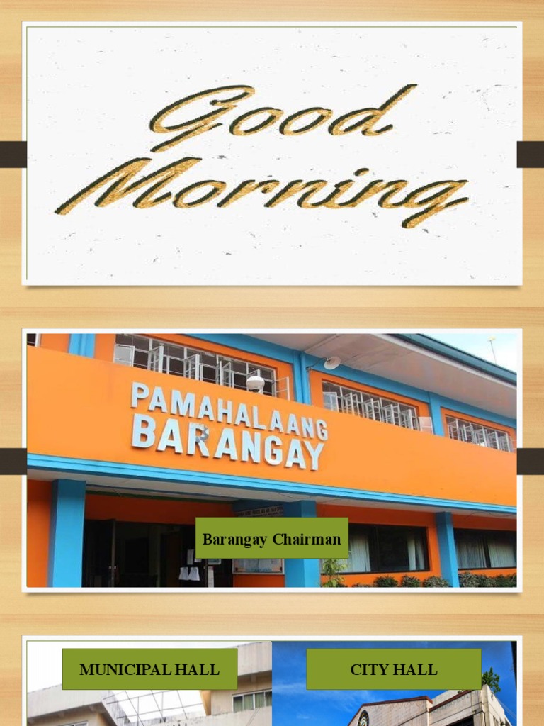 Local Government Structure in The Philippines | PDF | Social ...