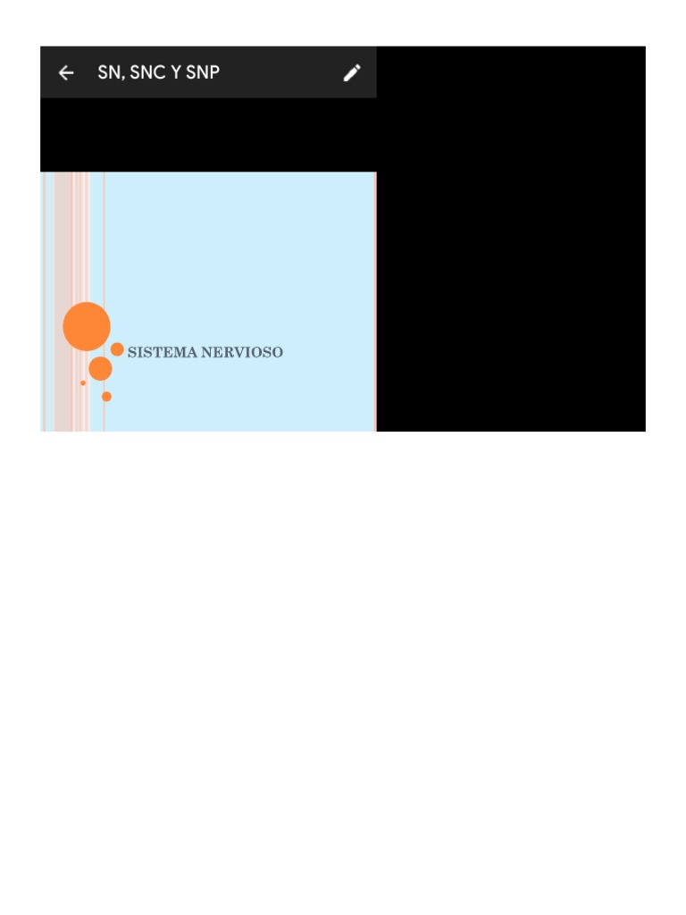 SN, SNC Y SNP - Presentaciones de Google | PDF