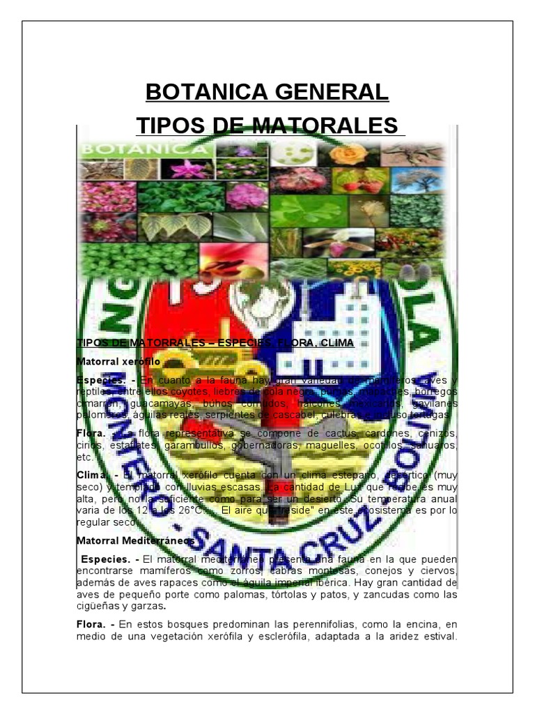 Tipos de Matorrales | PDF | Desierto | Monzón