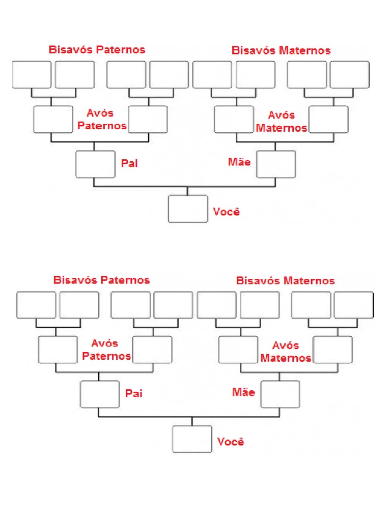 Modelo de Árvore Genealógica | PDF