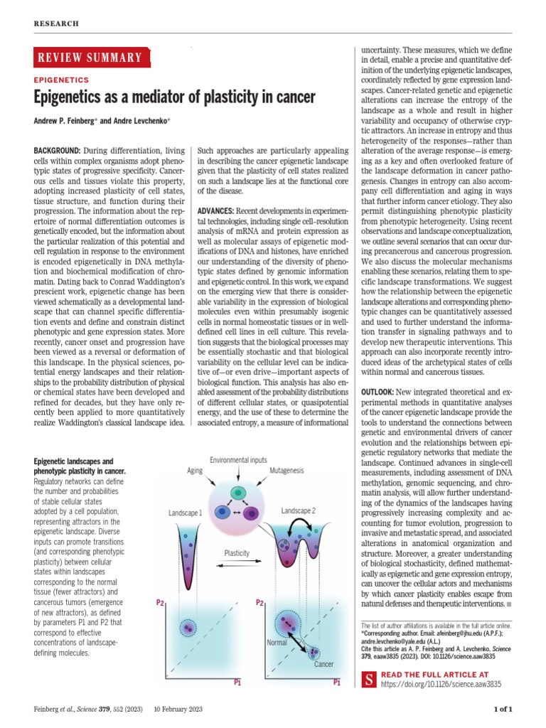 Epigenetics As A Mediator of Plasticity in Cancer: Review Summary | PDF | Epigenetics | Gene ...