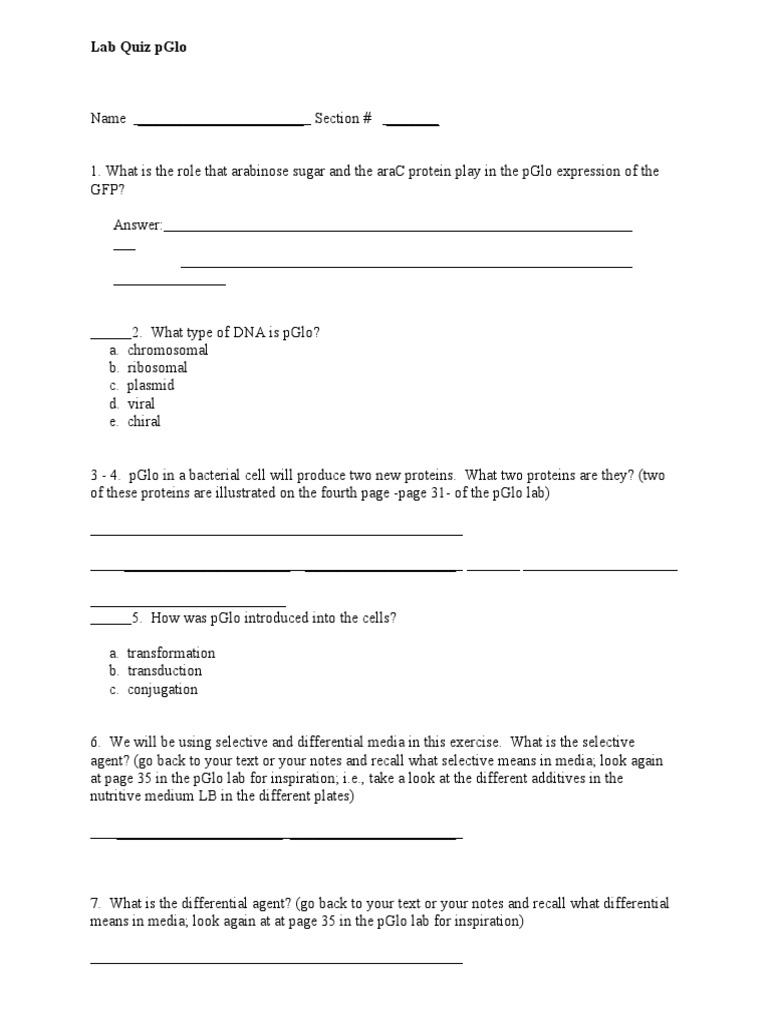 Lab Quiz pGLO | PDF