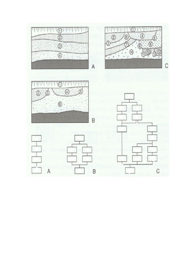 Ejercicio Matriz de Harris | PDF