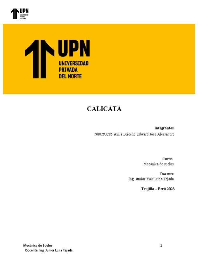 Calicata 2 | PDF | Mecánica de suelos