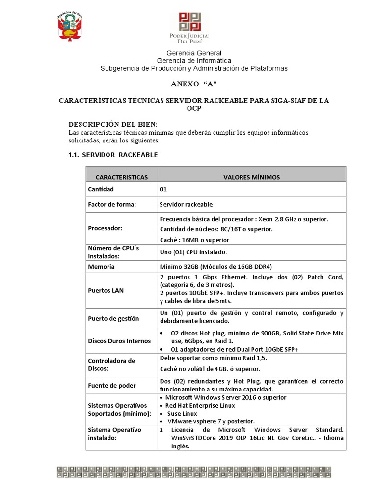 Caracteristicas Tecnicas Servidor | PDF | Servidor (Computación) | Unidad Central de procesamiento