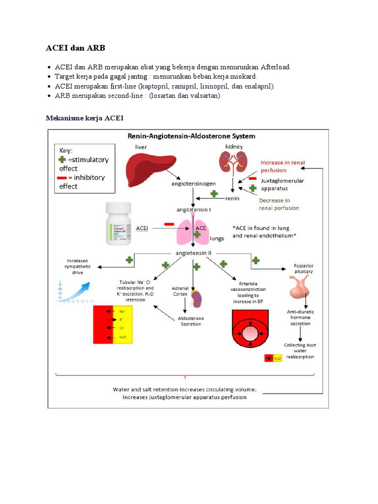 ACEI Dan ARB Lisa | PDF