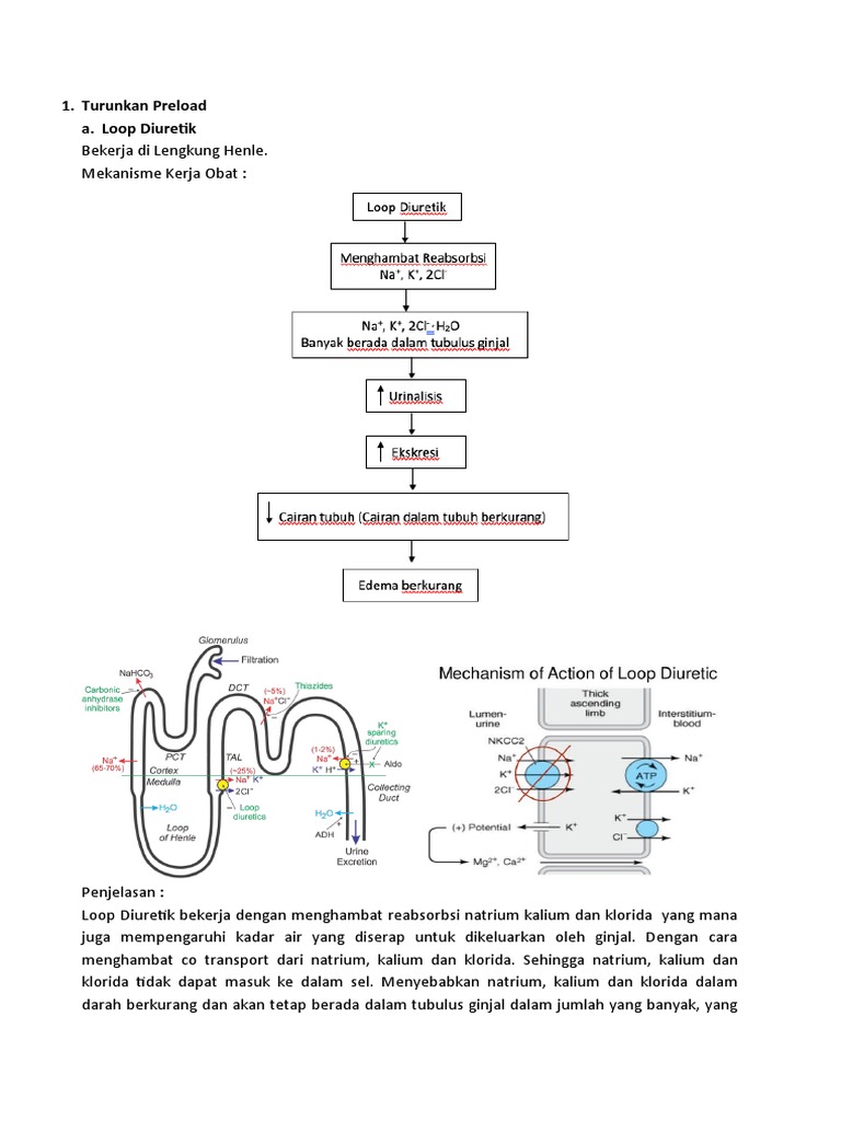 Loop Diuretik dan MR Antagonis | PDF