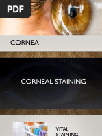 CCLRU Grading | PDF | Social Science