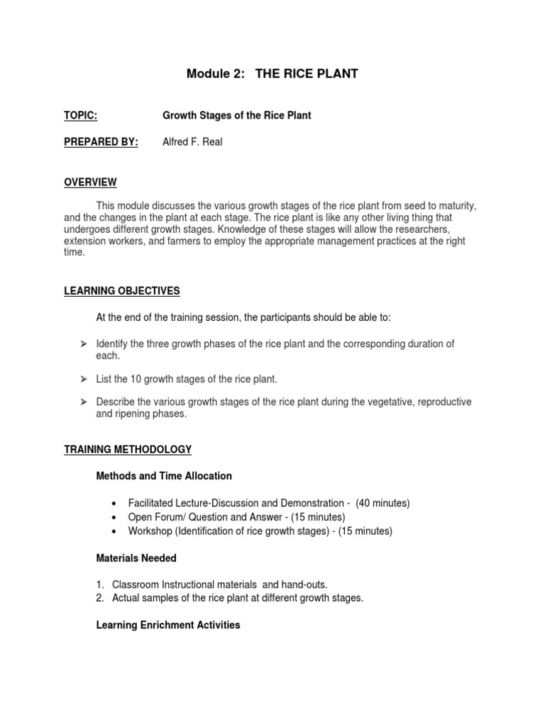 Growth Stages of the Rice Plant | PDF | Germination | Root