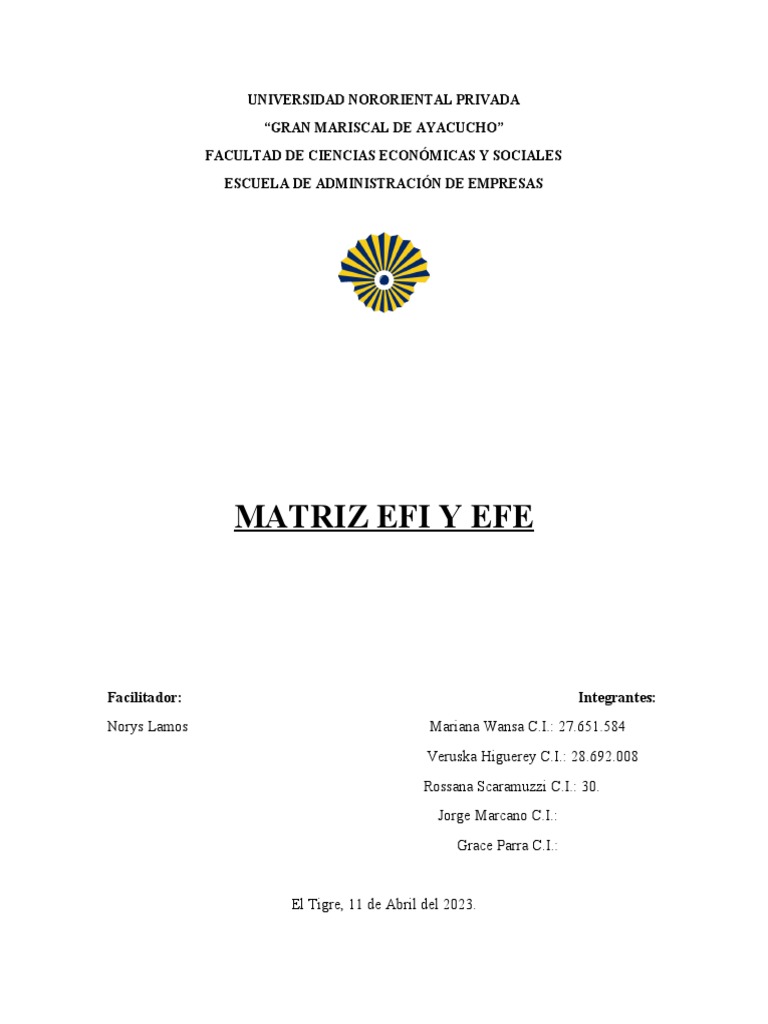 Matriz Efe y Efi | PDF | Análisis FODA | Toma de decisiones