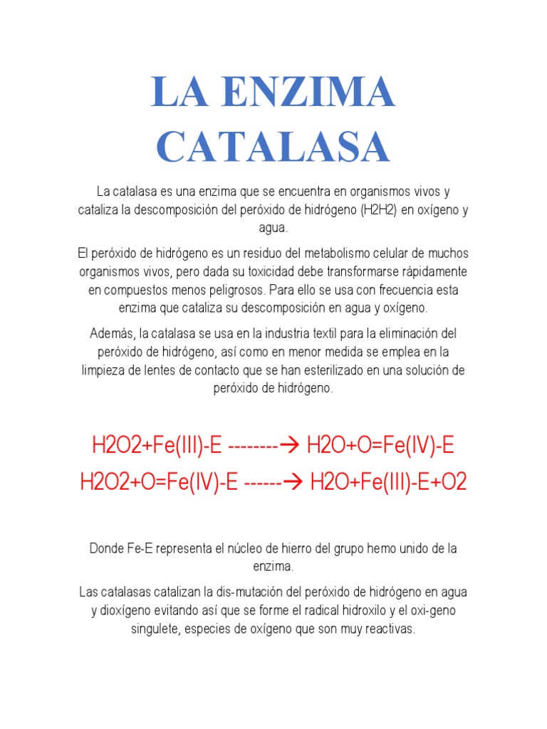La Enzima Catalasa | PDF