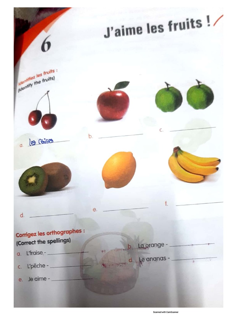 Enchanté - Vol-Zero-6-10 Workbook | PDF