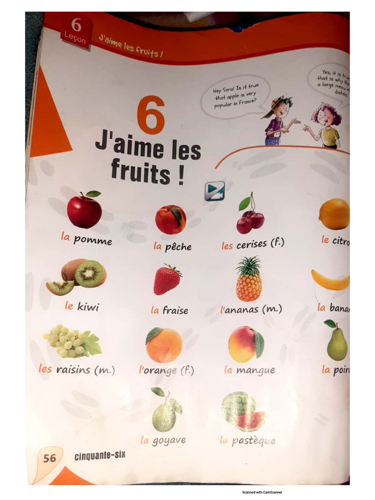 Enchanté - Vol-Zero-6-10 French Book | PDF