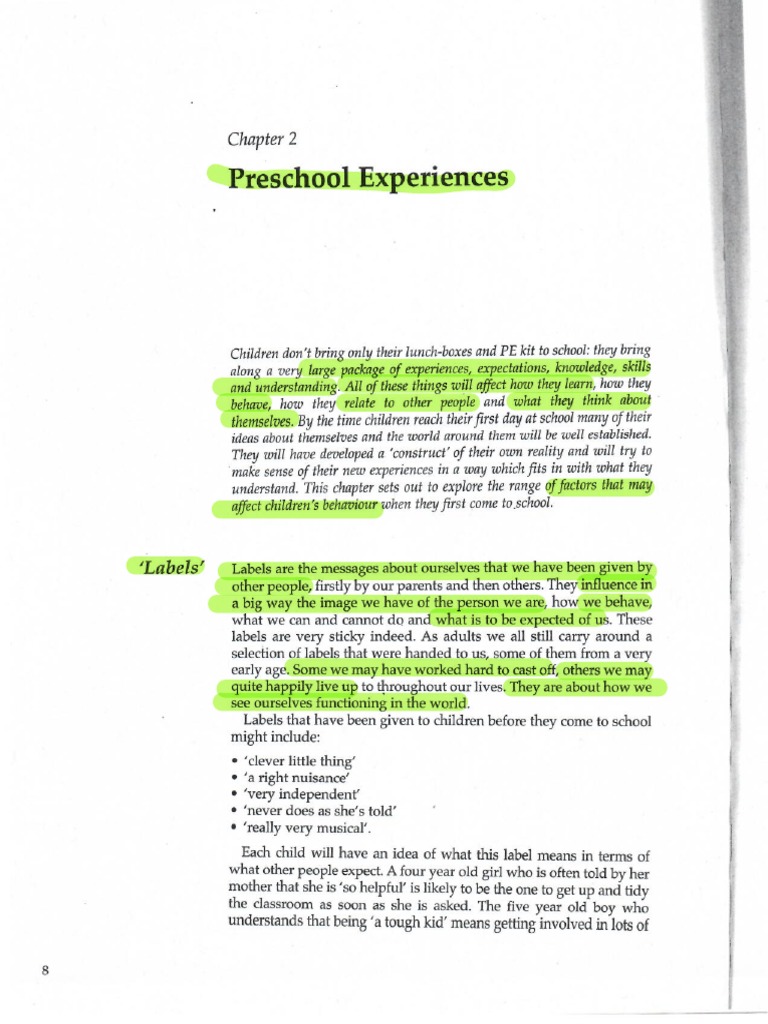 Preschool Experiences | PDF
