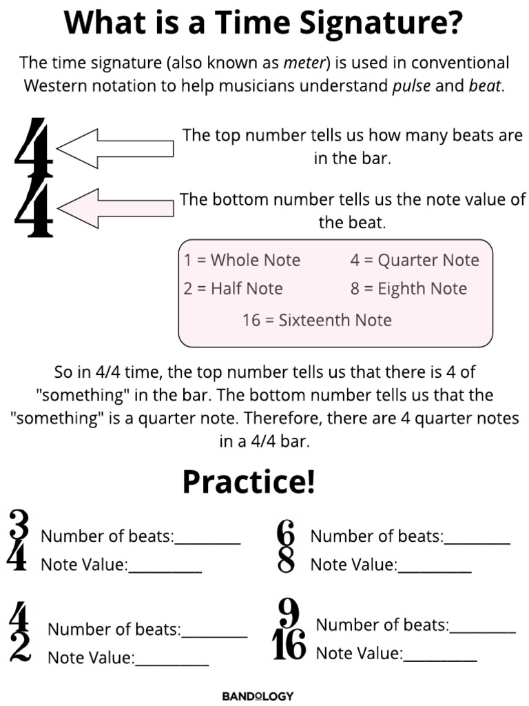 Music Time Signatures Explained | PDF | Notation | Musicology