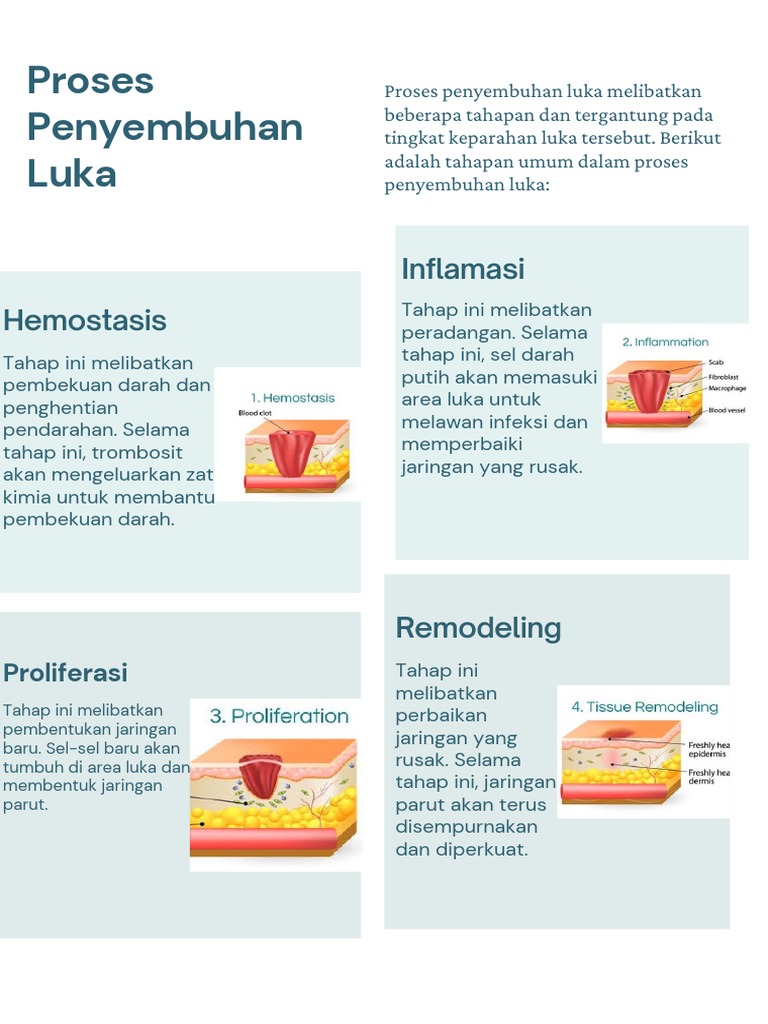 Proses Penyembuhan Luka: Inflamasi Hemostasis | PDF