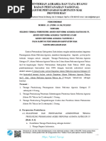 SOTK Kementerian ATRBPN PDF | PDF