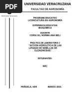 Agente Caotrópico | PDF | Ciencia y matemáticas