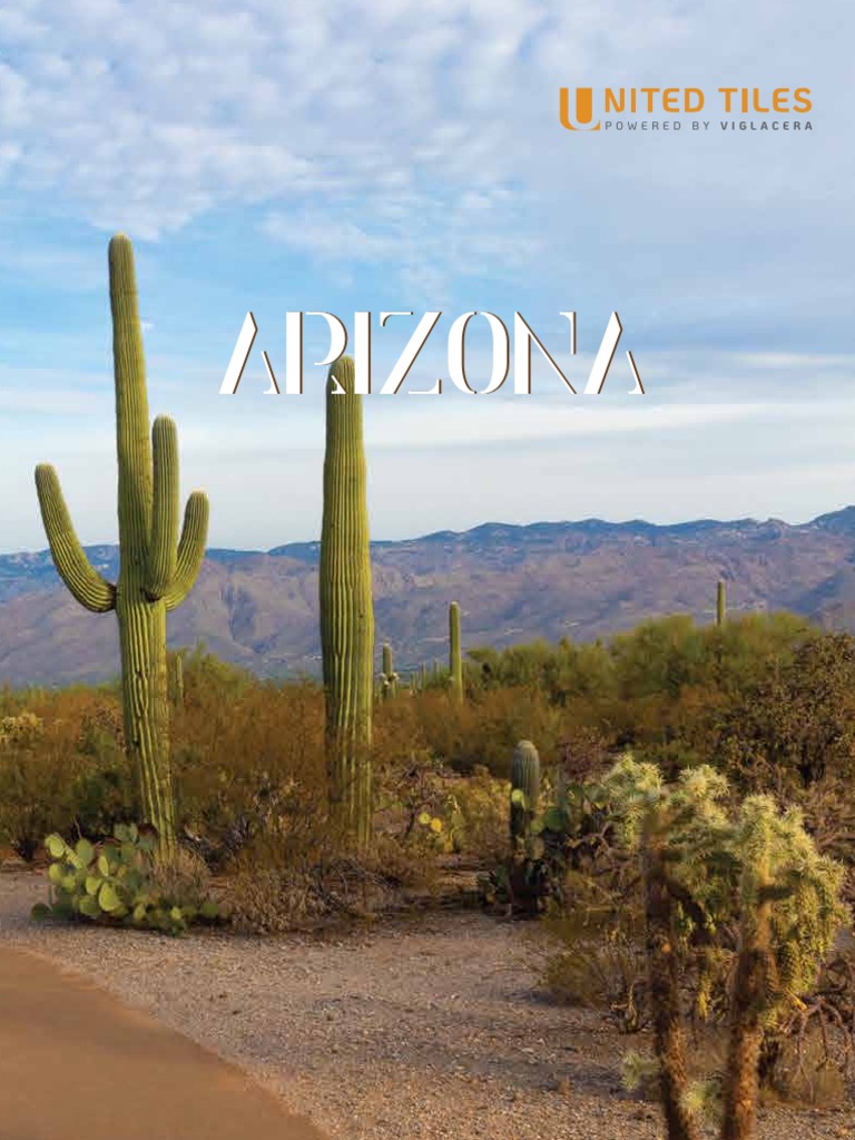 United - Arizona Catalogue | PDF
