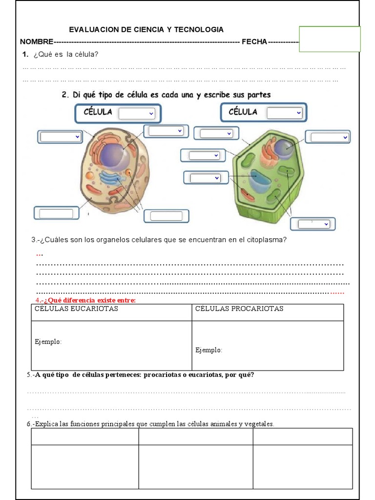 Evaluacion de Las Celulas | PDF