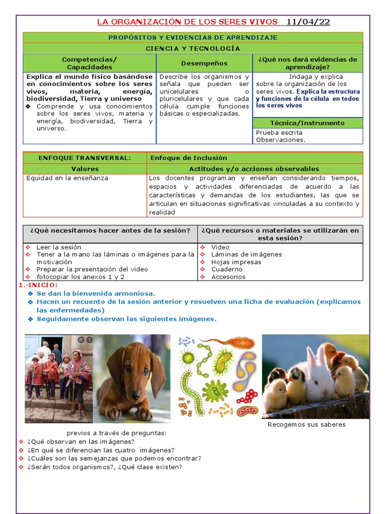 La Organización de Los Seres Vivos La | PDF | Biología Celular ...