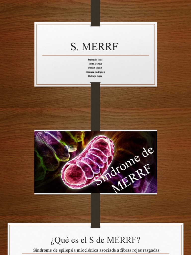 Síndrome MERRF: Causas y Tratamiento | PDF | Mutación | Mitocondria