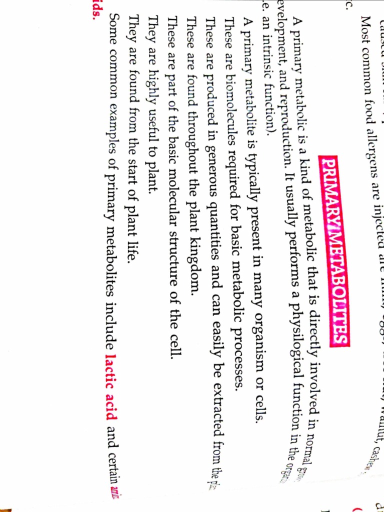Carbohydrates Module | PDF