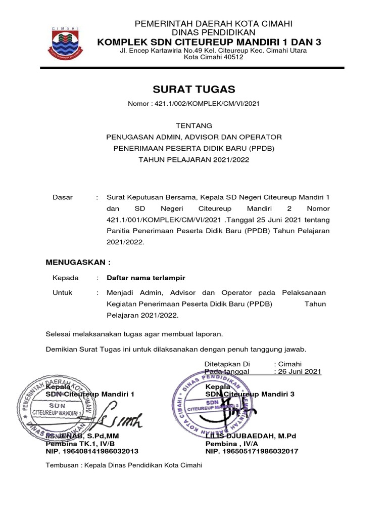 Surat Tugas Admin Ops Advisor | PDF