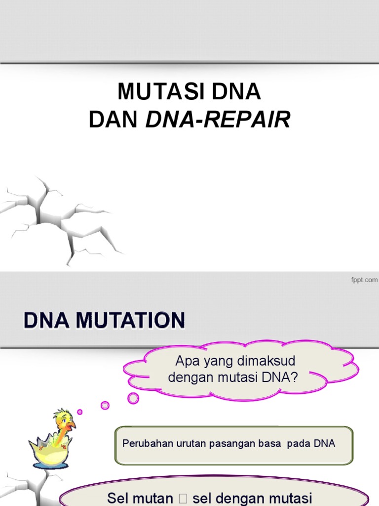 Mutasi DNA | PDF | Sains & Matematika